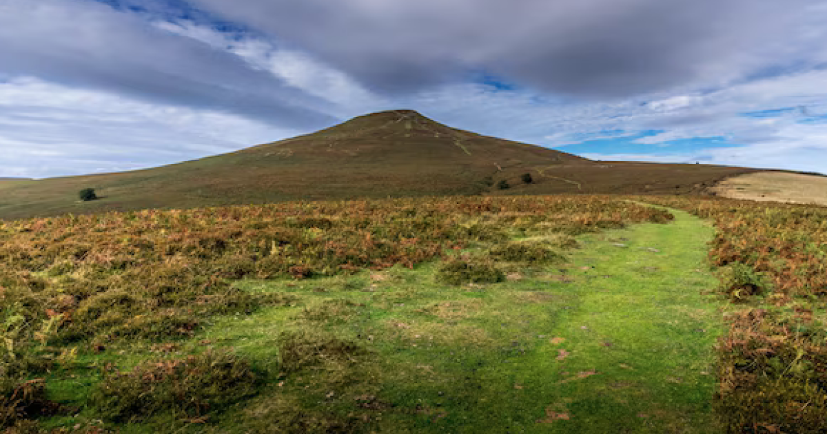 Sugarloaf and (increasingly harder to pin down) Autumn Woods - Ramblers